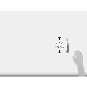 Gerber Gear 31-003721 Straightlace Folding Pocket Knife, 2.9 In Fine Edge Blade, Green