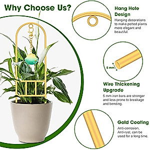 Mik-Nana Plant Trellis Indoor 2 Pack, Small Metal Trellis for Potted Plants, Mini Gold Trellis for Climbing Plants Indoor, House Plant Trellis for Garden Potted, Hoya, Flower, Vines, Monstera