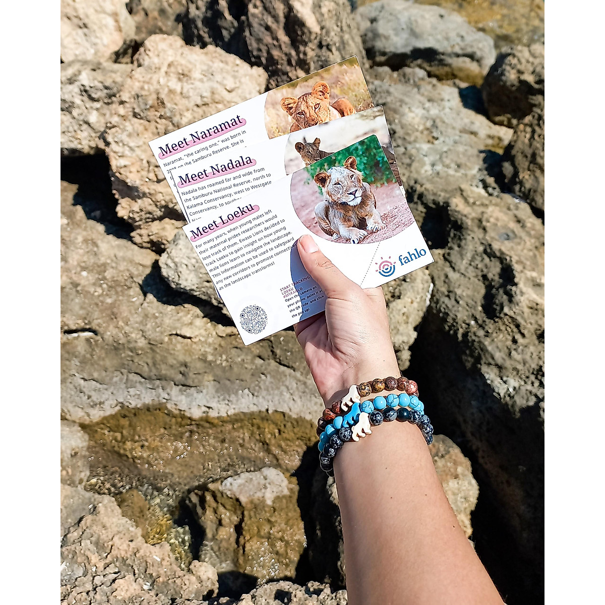 Fahlo Lion Tracking Bracelet, Elastic, supports EWASO Lions, one size fits most for Men and Women (Sky Stone)