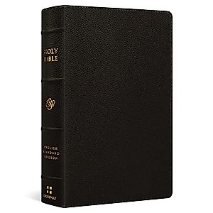 ESV Large Print Personal Size Bible (Buffalo Leather, Deep Brown)