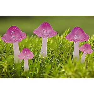 coonoe Mini Mushrooms for Fairy Garden, Translucent Fairy Garden Mushrooms with Stakes for Terrarium, Potted Plant, Mini Mushroom Garden Decor, Crafted Cute Tiny Fairy Garden Accessories