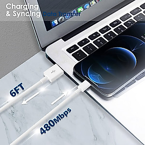 iPad Charger iPhone Charger, 12W USB Power Adapter Foldable Portable Travel Plug with 2Pack MFi Certified 6FT iPad Charging Cord Cable for iPad 4/5/6/7/8/9, iPad Mini 1/2/3/4/5, iPad Air 1/2/3, iPhone