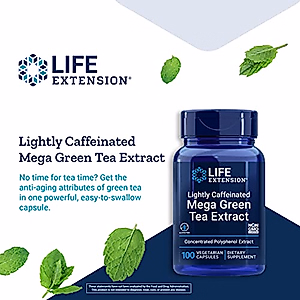 Life Extension Lightly Caffeinated Mega Green Tea Extract - 98% EGCG Polyphenols Supplement for Heart and Brain Health Support for Men and Women - Gluten Free, Non-GMO, Vegetarian - 100 Count
