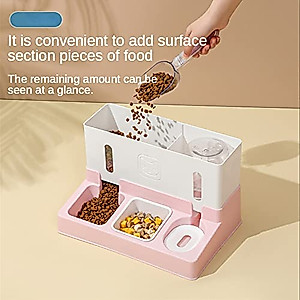 FUUIE Bowls for Food and Water Pet Cat Bowl Cat and Dog Feeder Bowl Double Bowl Kitten Automatic Waterer Puppy Feeding Waterer Pet Supplies (Color : Blue)