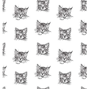 Stesha Party Black Kitty Cat Wrapping Paper Kitten Animal Gift Wrap 30 x 20 Inch (3 Sheets)