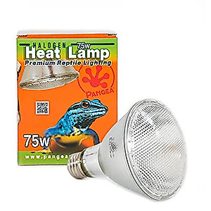 Pangea Halogen Heat Lamp for Reptiles (75 Watt)