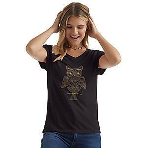 Hanes Womens Short Sleeve Graphic V-neck Tee Fashion-t-shirts, Whoot Whoo/Black, X-Large US