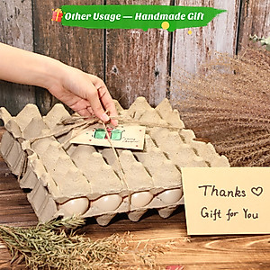 Estune 120 Pack Egg Cartons Crates Bulk 30 Cell Pulp Fiber Egg Flats Reusable Stackable Cardboard Chicken Egg Tray for Home Storing Packing Roach Colony Soundproofing