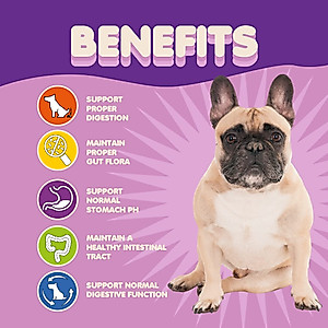 Probiotics for Dogs & Puppies–Extra Strength 9 Species, 5 Billion CFU per Scoop of Dog Probiotics and Digestive Enzymes for Dogs. Support Fiber for Dogs & Dog Allergy Relief– Powder Probiotic for Dogs
