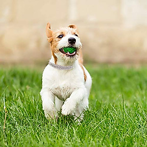 PUPTECK Basic Adjustable Cat Collar with Bling Diamante and Double Bells, for Kitten and Small Puppy, Fashion and Shining (XXS: Collar Adjustable: 6-8in, 0.3inch Width, Pink)