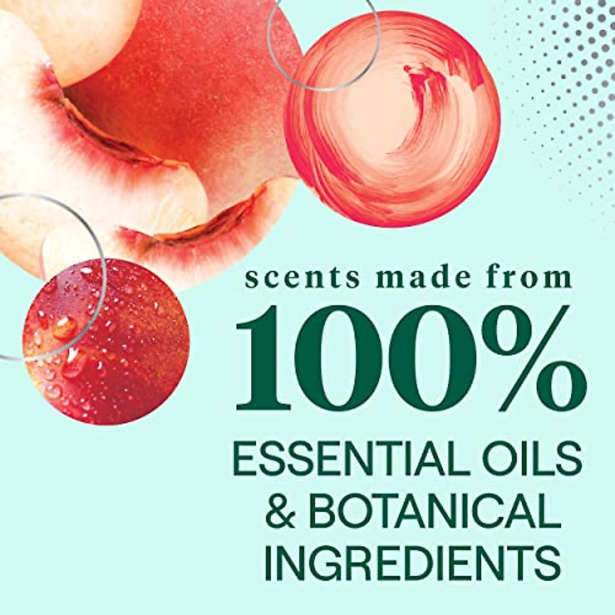 Seventh Generation Dish Soap Liquid Summer Orchard Scent Pack of 6 Dishwashing Soap Dish Detergent Liquid Soap 19 oz