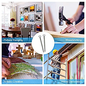 376pcs Premium Hardware Nails Assortment Kit, Maximum Length 2 Inches Galvanized Nails, Picture Hanging Nails, Wood Nails, Wall Nails with Storage Box | 6 Sizes