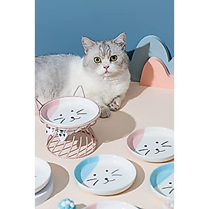 Ceramic Shallow Cat Food Dish, Cat Wet Food and Raw Meat Flat Cat Bowls; Stress Relief of Whisker Fatigue Cat Dishes, Wide Plate for Kittens Small Animals and Short Legged Munchkin Cat Set of 2