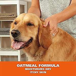 Wahl Pet Friendly Waterless No Rinse Shampoo for Animals – Oatmeal & Coconut Lime Verbena for Cleaning, Conditioning, Detangling & Moisturizing Dogs, Cats & Horses – 7.1 Oz - Model 820015A