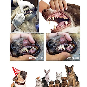 QeeHeng Pet DogToothbrush Kit,Cat Finger Toothbrush,Dog Double Headed Toothbrush for Dental Care,Halitosis and Tartar Removal for Dog and Puppy（11 PCS）