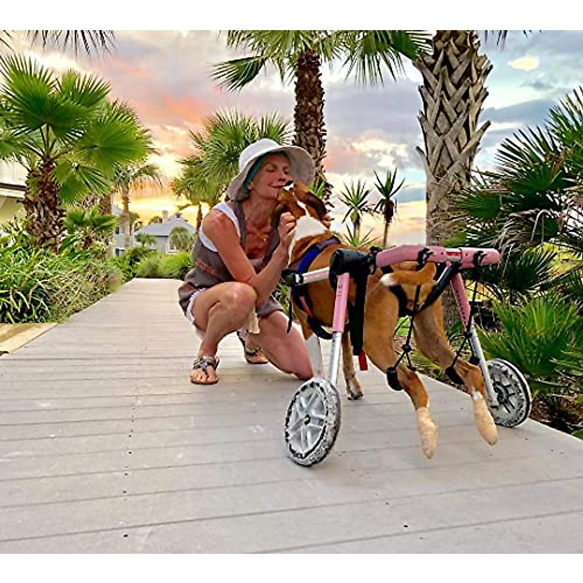 Walkin’ Wheels Custom Dog Wheelchair for Medium Dogs | Veterinarian Approved | Dog Wheelchair for Back Legs | Choose from 3 Custom Colors: Blue, Pink, and Camo