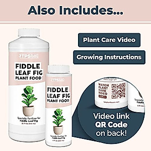 Fiddle Leaf Fig Plant Food for All Fig and Other Ficus Trees, Liquid Houseplant Fertilizer 8 oz (250mL)
