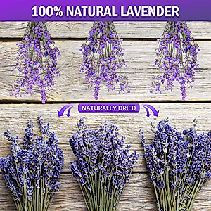 Timoo Dried Lavender Bundles 100% Natural Dried Lavender Flowers for Home Decoration, Photo Props, Home Fragrance, 2 Bundles Pack