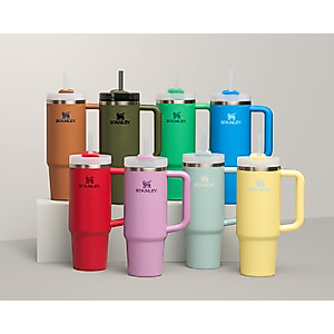 Stanley Quencher H2.0 Tumbler with Handle and Straw 30 oz | Flowstate 3-Position Lid | Cup Holder Compatible for Travel | Insulated Stainless Steel Cup | BPA-Free | Meadow