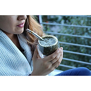 Novomates Yerba Mate Kit - Double Wall Glass Yerba Mate Cup with Stanley Steel Bombilla Mate - Yerba Mate Cup and Bombilla Set - Yerba Mate Gourd - Bombilla Mate and Mate Tea Cup - 8.4oz (250 ml)