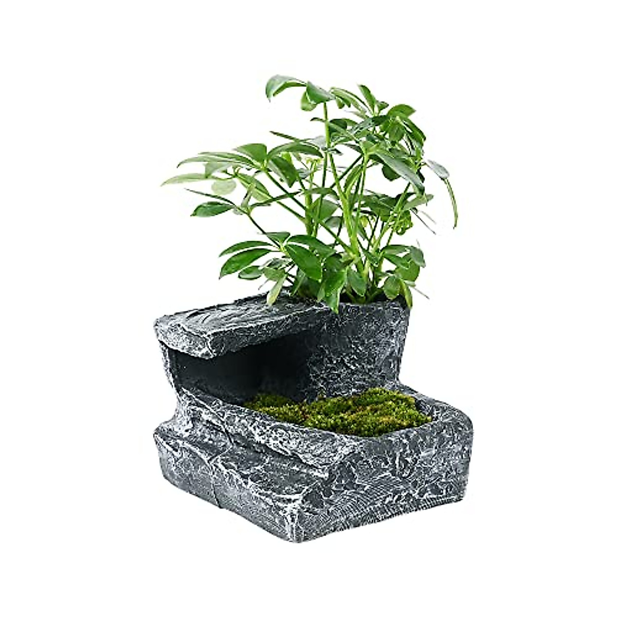 Flushbay Turtle Basking Platform Tortoise Resting Rock Climbing Rock Resin Aquarium Landscape Rock Decoration Reptile Habitat Ornament for Turtle, Newt, Frog, Lizard, Bearded Dragons