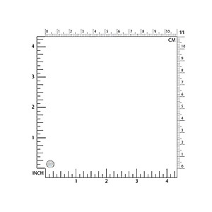 Silvershake 6 mm Natural Round Shape Rainbow Moonstone 925 Sterling Silver Stud Earrings