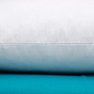 Warmwithann Set of 2, Cotton Fabric Square Pillow Inserts, Down and Feather Decorative Throw Pillows Inserts. 18"x18" Inches