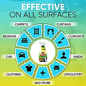 386 Professional Strength Pet Odor Eliminator for Home – Premium Odor Neutralizer for All Surfaces - Multipurpose Urine Remover for Dogs and Cats – Unscented, Long-Lasting No Enzyme Formula