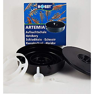 Brine Shrimp Hatchery Dish (Eggs Sold Separately.)
