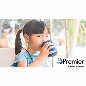 Watts Premier WP116023 Pureteck Standard Auxiliary Faucet for RO Water Filtration Systems, Chrome Medium