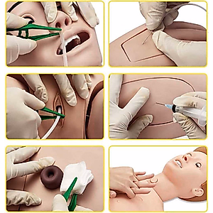 WFZY Training Manikin Model Mannequin Patient Education Teaching Model 170 cm PVC Anatomical Mannequin, Body Care Simulator Model for Nursing Medical Training Teaching