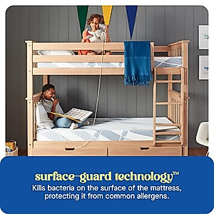 Sealy Dreamlife 8” Foam Mattress-in-a-Box, California King