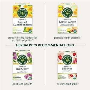Traditional Medicinals Tea, Organic EveryDay Detox Lemon, Supports Healthy Skin & Liver Function, Detox, 96 Tea Bags (6 Pack)