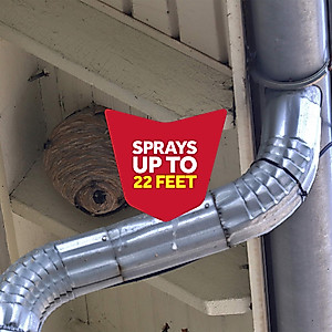 Raid Wasp & Hornet Killer Spray, Kills the entire nest, Kills Paper Wasps, Yellow Jackets, Mud Daubers and more, 14 oz (Pack of 2)