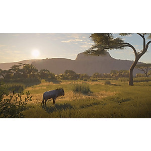 theHunter: 2019 Edition - Xbox One