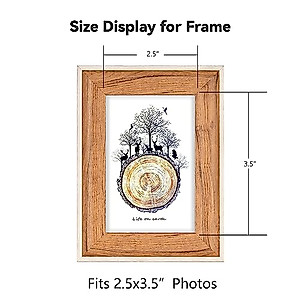 Autjvy 2.5x3.5 Picture Frame Set of 2, Modern Rustic Multi Picture Frames Natural Woodgrain Pattern Photo Frame with HD Real Glass, Vertical and Horizontal for Tabletop and Wall Mounting Display. (2 Pack)