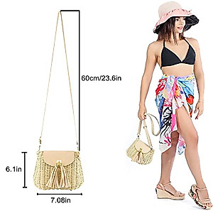 Ayliss Women Straw Crossbody Handbag Clutch Straw Shoulder Handbag Purse Rattan Summer Beach Woven Handmade Wallet Bag (Beige #2)