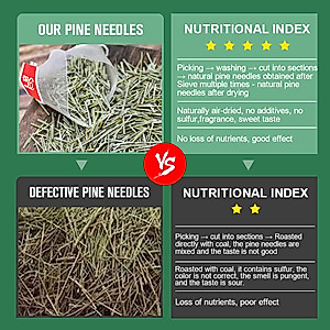 Organic Dried Pine Needle Tea Bags - Pine Needle Herbal Tea for Immune Support & Antioxidant, Caffeine Free, Natural Suramin, 30 Tea bags