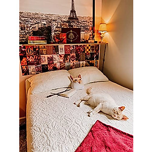 CON*QUEST Conquest Journals Harry Potter Gryffindor Wall Collage, Set of Fifty Collectible 4x6 Official Art Prints From The Wizarding World, Printed on Quality Card Stock, Matte Finish