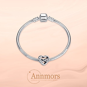 Annmors Infinity Love Heart Charm fits Bracelets for Woman-925 Sterling Silver Dangle Pendant Bead,Jewelry Beads Gifts for Women Bracelet&Necklace