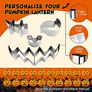 HAUSHOF 24PCS Halloween Pumpkin Carving Kit, Safe and Easy Pumpkin Carving Tools, Stainless Steel Pumpkin Carving Stencils for Halloween Jack-O-Lanterns, With Hammer & Camping Lantern
