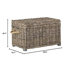 Safavieh Home Collection Salim Grey Rattan Storage Trunk