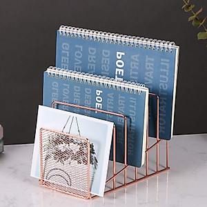 Simmer Stone Incline File Sorter, 7 Slot Magazine Holder for Letter, Document, Folder and Book, Metal Desktop Organizer Rack for Home, School and Office, Rose Gold