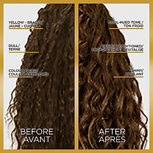 L'Oreal Paris Le Color One Step Toning Hair Gloss, Cool Brunette, 4 Ounce