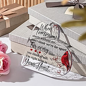 Yulejo Red Cardinal Gifts Sympathy Gifts Memorial Gift for Loss of Loved One Sympathy Decorations Acrylic Glass Heart Memorial Gift Table Centerpieces Remembrance Decor (Novelty Style)