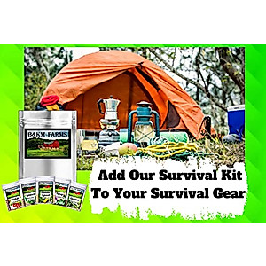 20 Vegetable & Fruit Seeds for Planting Your Outdoor & Indoor Home Seed Garden, Survival Gear Kit Includes 2900 Seeds, A Growing Guide & Mylar Package Gardening Heirloom Non-GMO Veggie Seed B&KM Farm