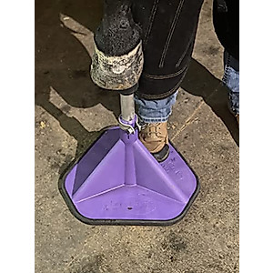 HOOF-IT Blacksmith Standard Hoof Stand Purple