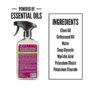 Aunt Fannie's Bundle: Houseplant & Garden Insect Remedy + FlyPunch Fruit Fly Trap