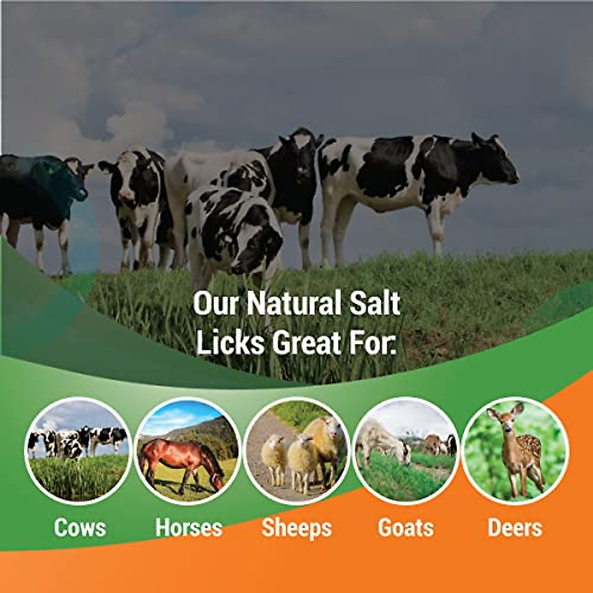 Yield Titan Himalayan Pink Salt 30 LB, Salt Licks for Animals Licking Block for Horses, Cows, Deer, and Other Livestock - Rope Included (8 Qty)