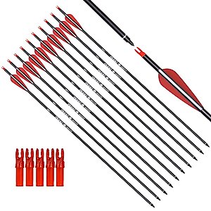 Archery Carbon Arrow Hunting Target Practice Arrows 30 Inch with Removable Tips for Compound & Recurve Bow 500 Spine 12PCS